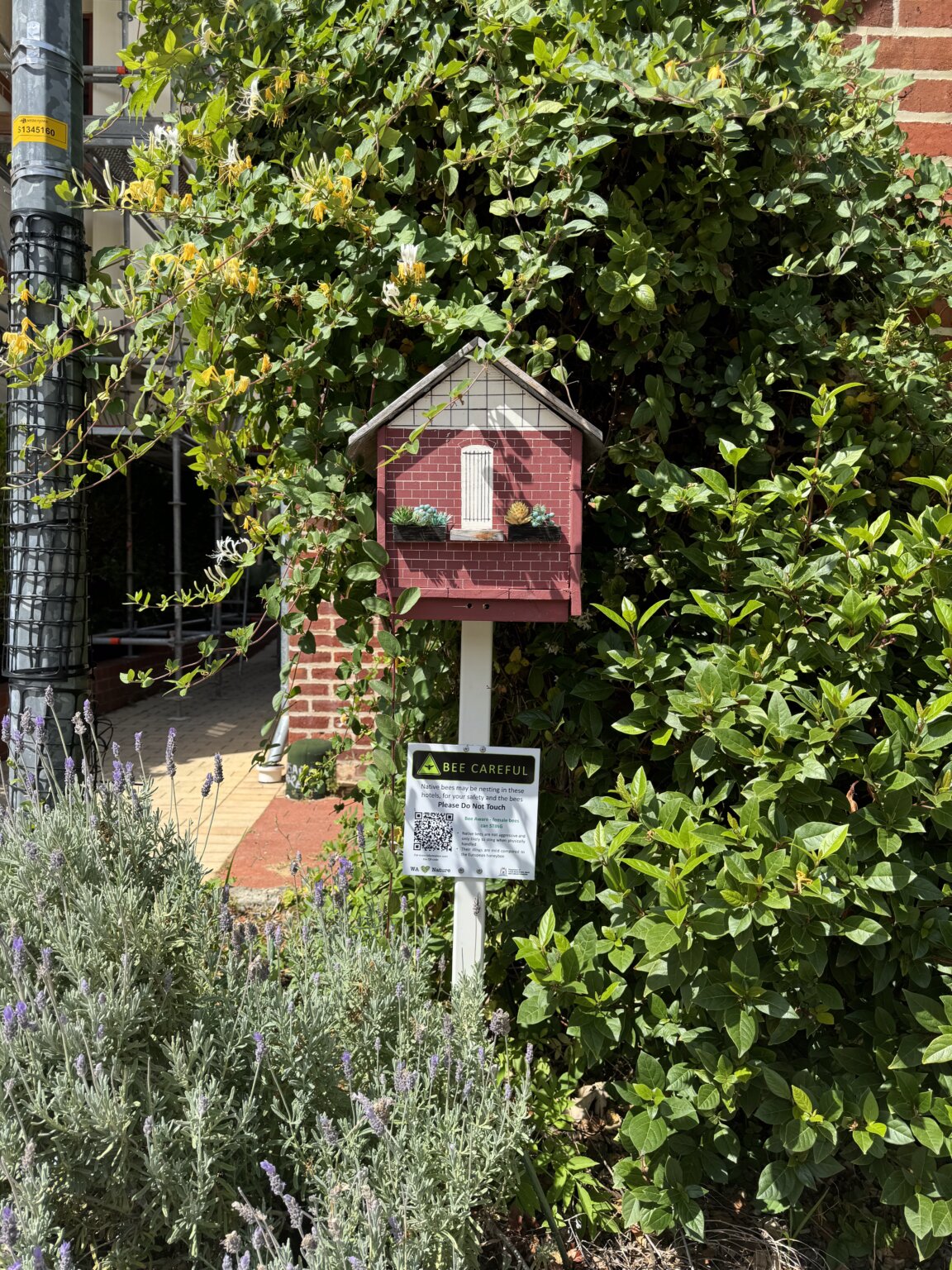 Biodiversity in Place: putting the 'nature' back into nature strips ...
